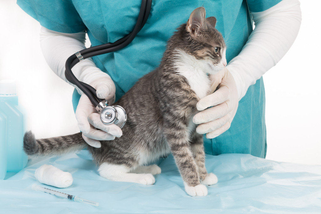 Intestinal Parasites - North Saucon Animal Hospital
